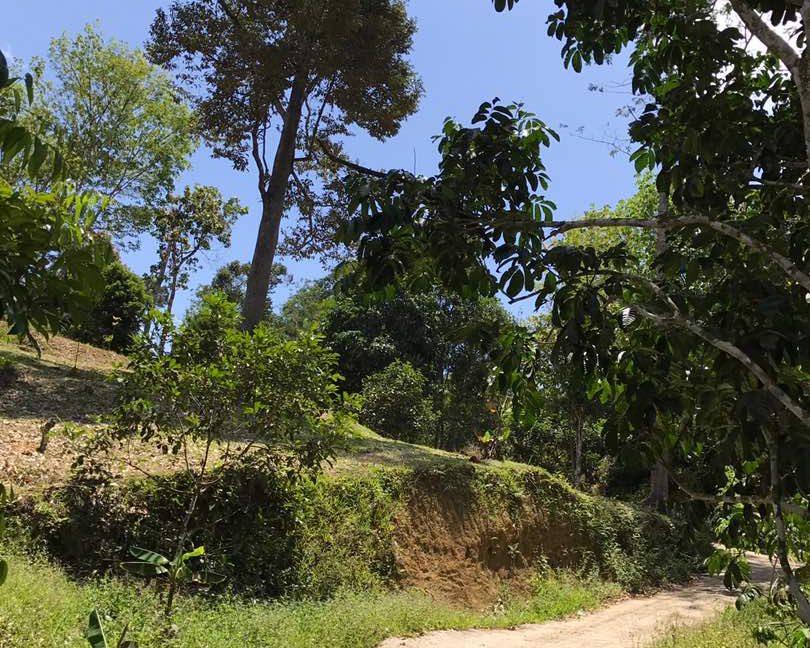 Dusun Durian Hulu Langat - Ejen Hartanah | Property Agent | Perunding hartanah | Agensi Hartanah